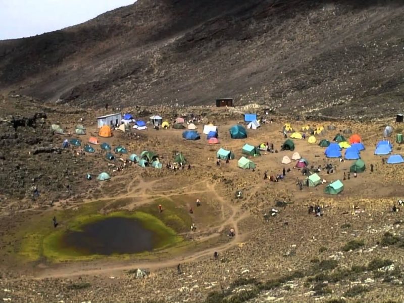 7 Days Kilimanjaro Rongai Route For Successful Kili Climbing