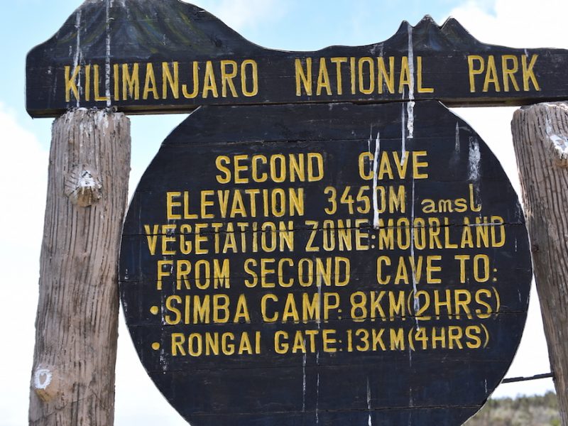 7 Days Kilimanjaro Rongai Route For Successful Kili Climbing